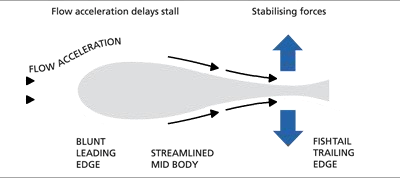 Becker Schilling® Rudder family